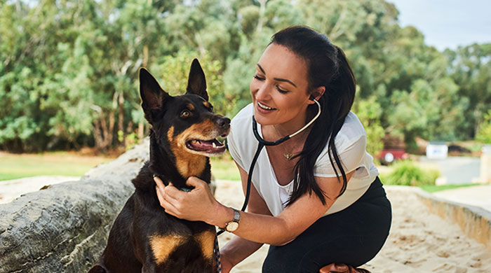 Perth Holistic Vet - Dr Louisa Fenny